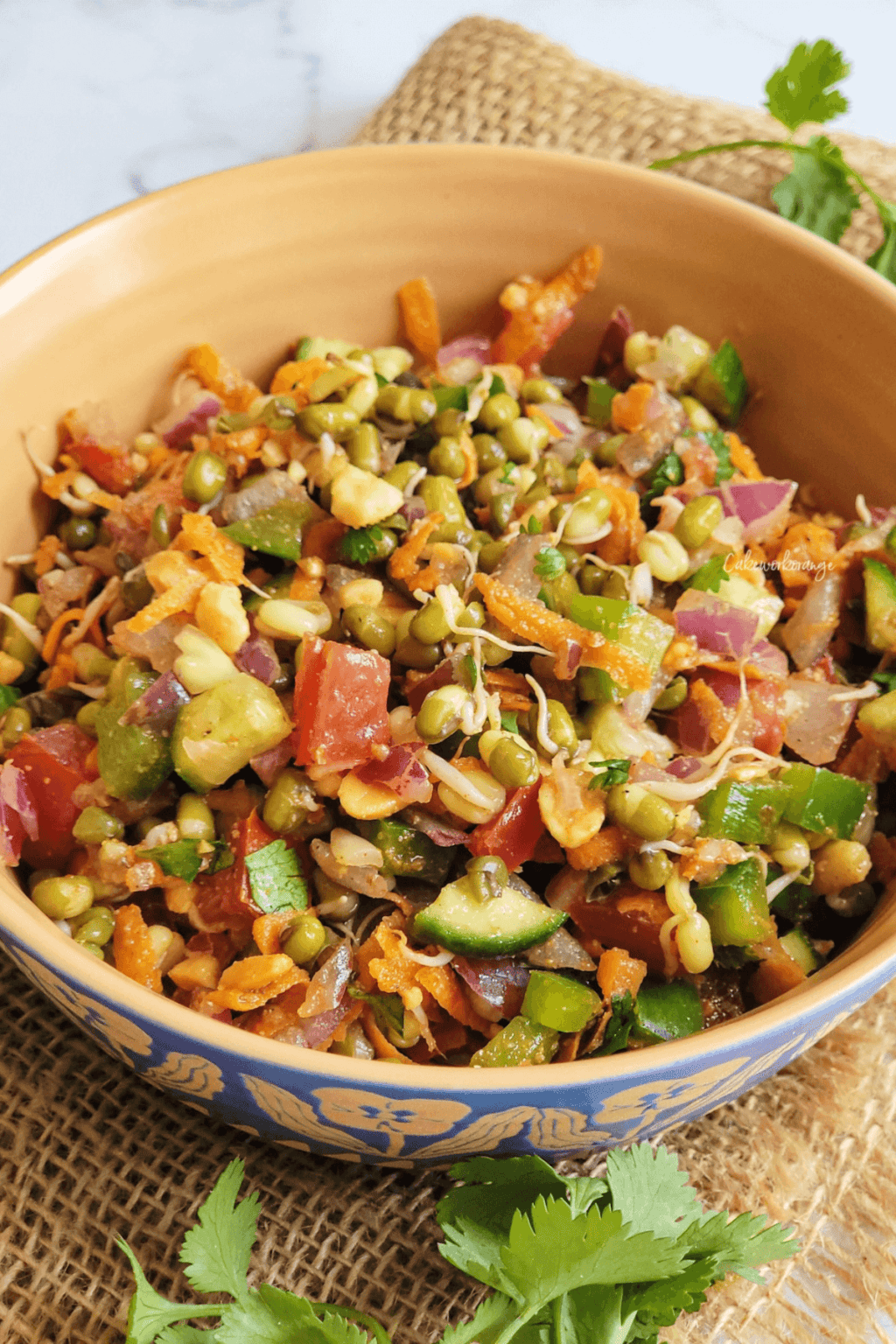 Indian Sprouted Moong Salad with Vegetables - Cakeworkorange